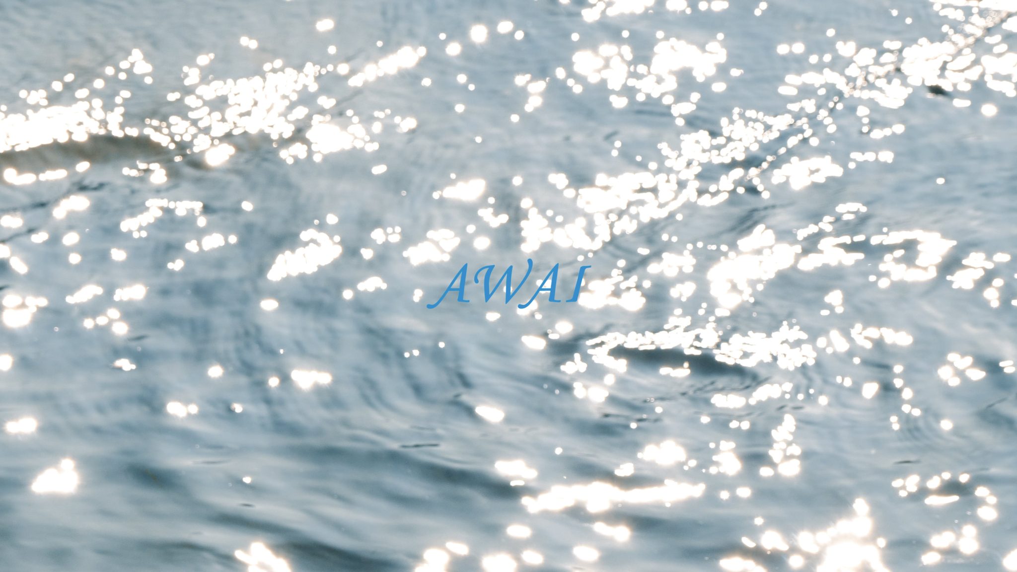 （写真提供：AWAI）